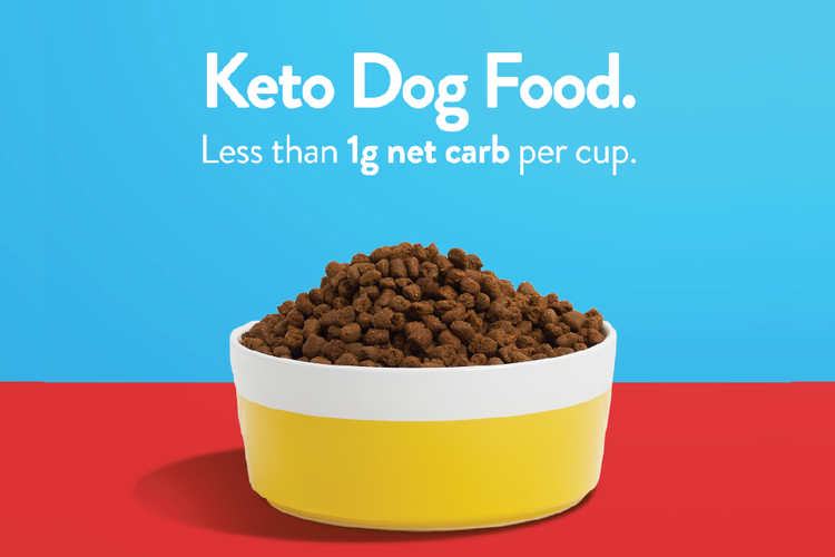 Keto Dog Food: How to Feed Your Dog a Keto Diet – Visionary Pet Foods